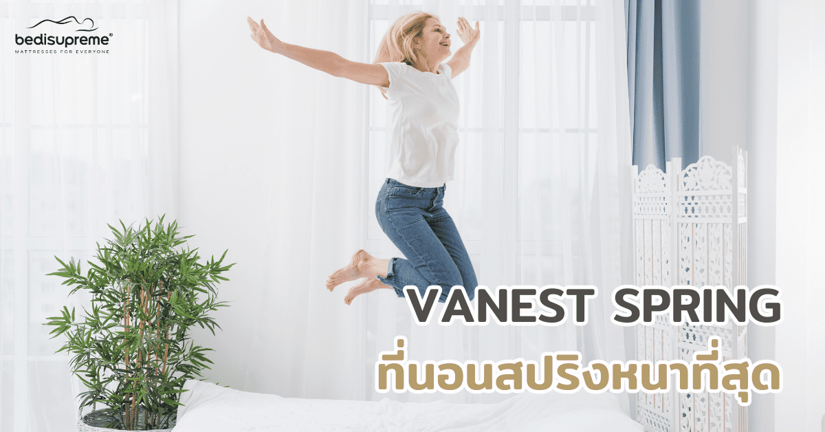 VANEST SPRING ที่นอนสปริงหนาที่สุด - Bedisupreme