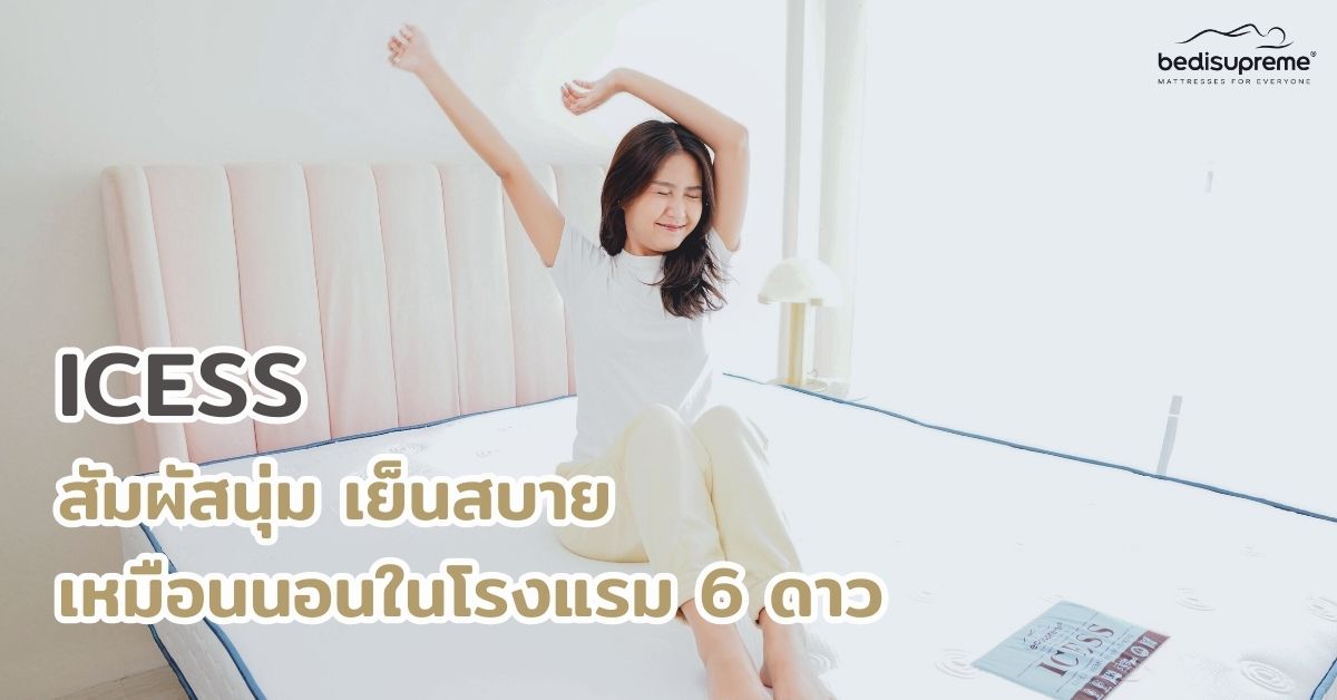 ICESS สัมผัสนุ่ม เย็นสบาย เหมือนนอนในโรงแรม 6 ดาว - Bedisupreme