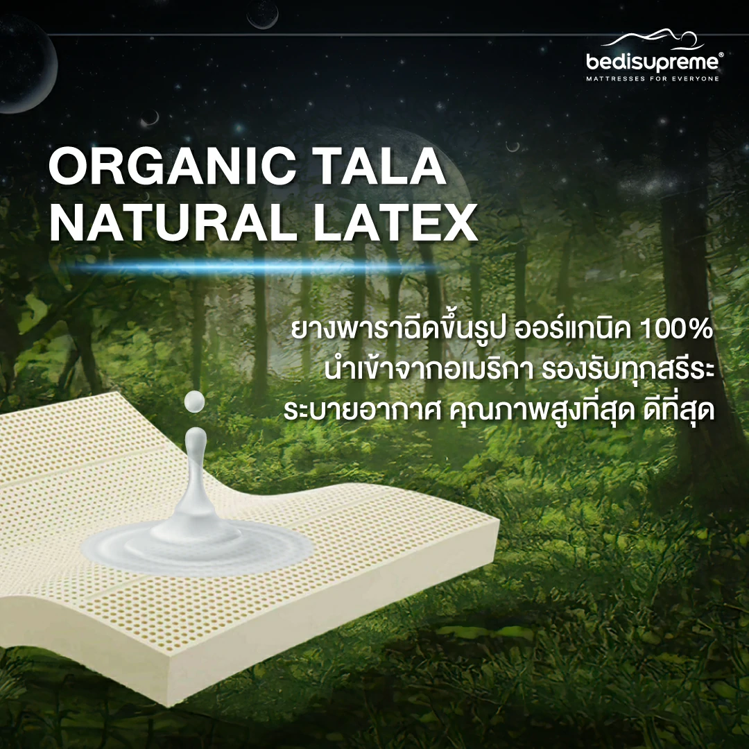 5 เหตุผล ทำไมต้องที่นอนสุญญากาศ RESTMAX - Bedisupreme